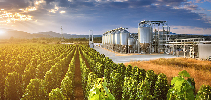 Des solutions de pointe pour des aliments plus sûrs et plus savoureux